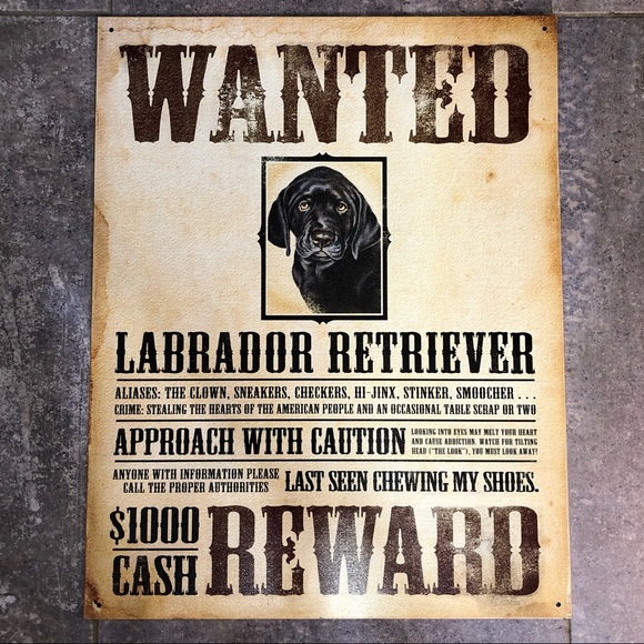 NA | Wall Decor | Wanted Poster Labrador Retriever Dog Metal Sign ...